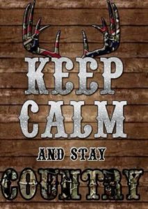 67 Country Quotes on Life, Love, Music