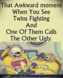 60 Funny and Cute Twin Quotes