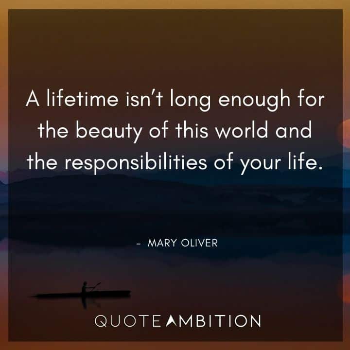 140 Mary Oliver Quotes 2021 Update