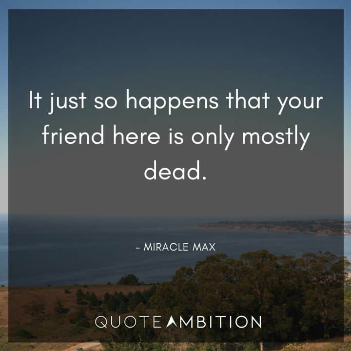 70 The Princess Bride Quotes (2021 Update)