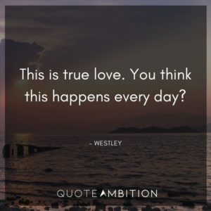 70 The Princess Bride Quotes (2021 Update)