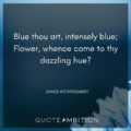 150 Blue Quotes to Make You Feel Calm and Relaxed