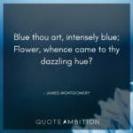 150 Blue Quotes to Make You Feel Calm and Relaxed