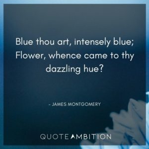 150 Blue Quotes to Make You Feel Calm and Relaxed