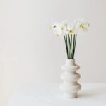 60 Simplicity Quotes on Living a Happy & Full Life