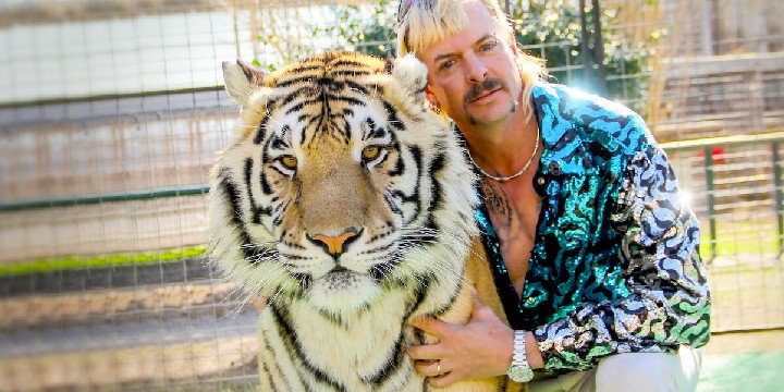 50 Tiger King Quotes From the Most Exotic TV Series Ever