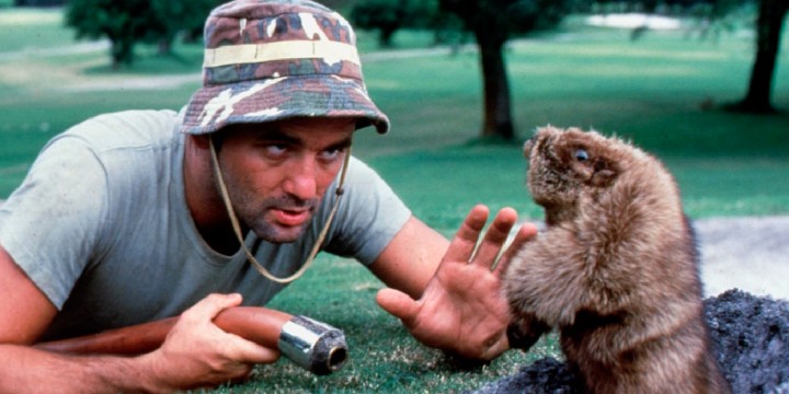 25 Caddyshack Quotes on Golf, Winning, and Competitiveness