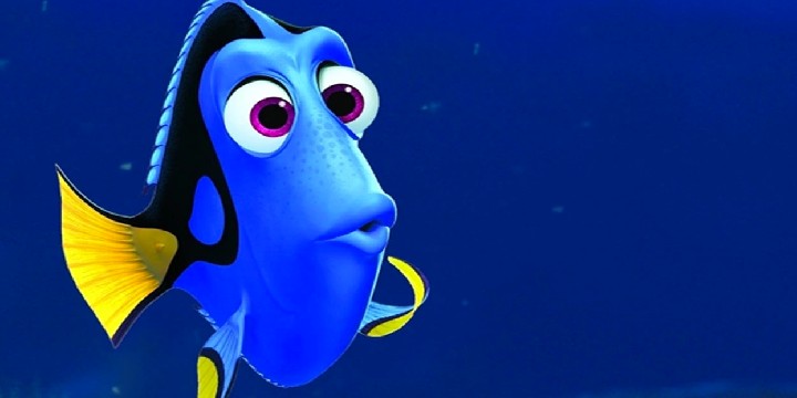 25 Dory Quotes to Help You Swim Away From Life’s Problems
